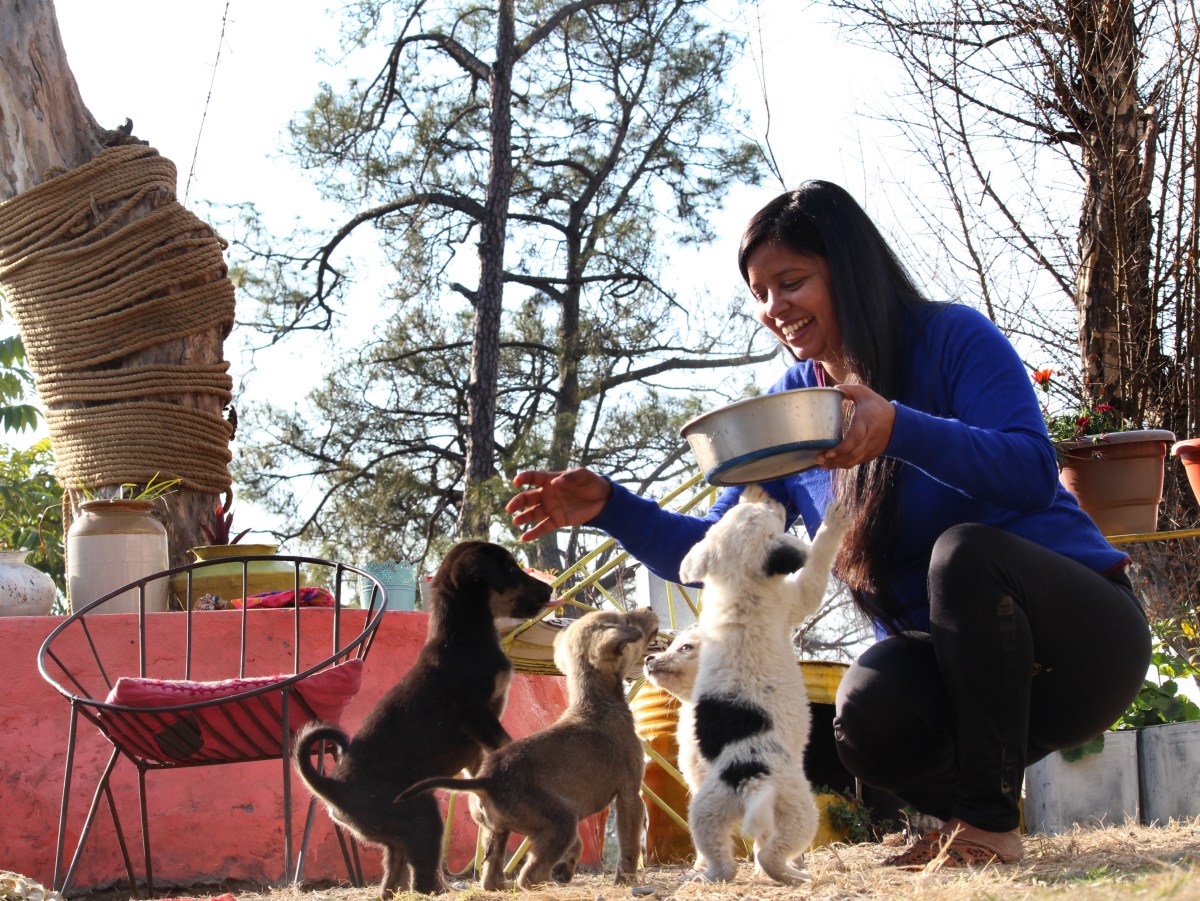Spotting tiger pug marks, gazing at Himalayan peaks and savouring ...